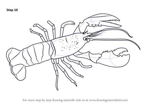 Lobster Drawing Simple At Edward Criss Blog