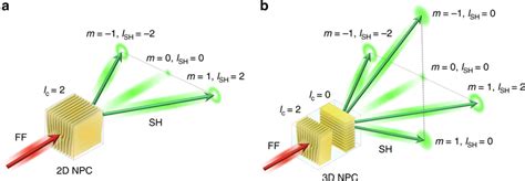 Illustrating The Concept Of Nonlinear Wavefront Shaping In Nonlinear Download Scientific