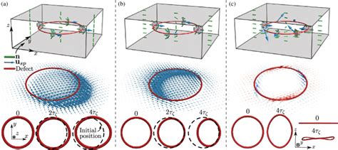 Flows And Dynamics Of Different Active Nematic Defect Loops With Zero