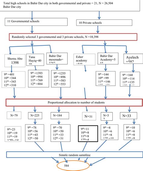 Schematic Representation Of The Sampling Procedure Download Scientific Diagram