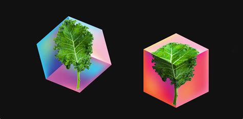 Exploring The Mathematical Universe Connections Contradictions And Kale