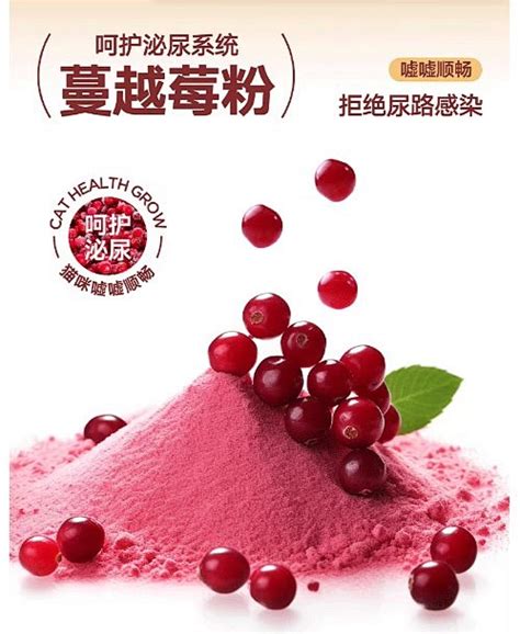 Dingtalk20240615152519