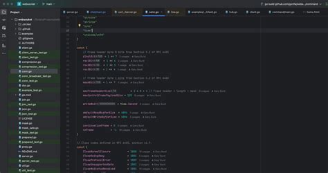 Go进阶手写 Go websocket 库一WebSocket 通信协议 白泽talk 博客园