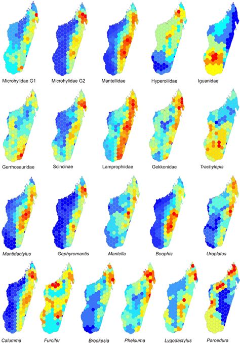 Species Richness Species Richness Sr Calculated Separately For Download Scientific Diagram
