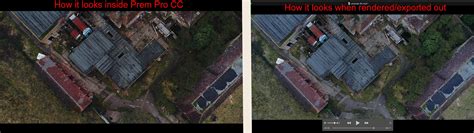 [help] Colour Issue When Rendering Exporting R Premiere