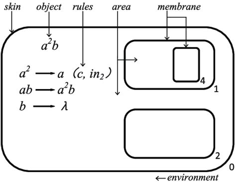 The Structure Of A Membrane Computing With An Example Download