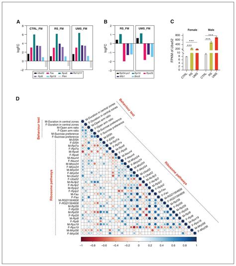 sex specific transcriptional signatures in the medial prefrontal cortex