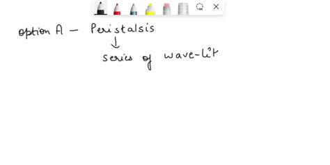 Solved O Mixing O Segmentation Motility Peristalsis Is A Directional Process In The Digestive