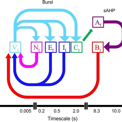 model variables and relationships a schematic of the relationships in download scientific