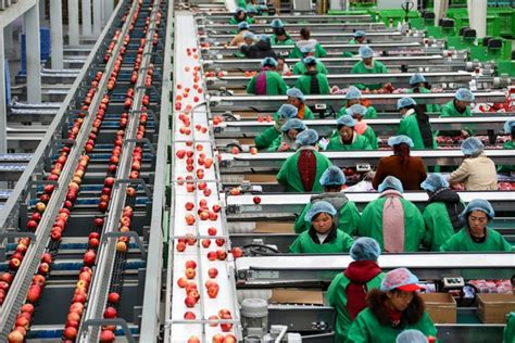 贵州毕节：农业现代化迈上新台阶毕节农业毕节市新浪新闻