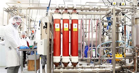 The Government S Role In The Rise Of Lab Grown Meat WIRED