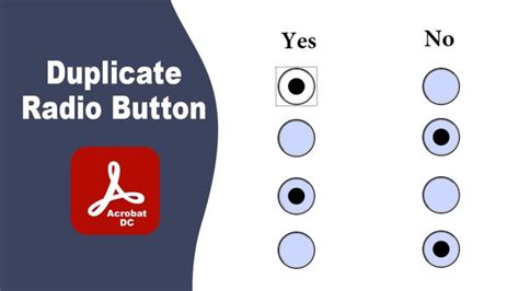 Shapon Shekh On Linkedin How To Duplicate The Radio Button In Adobe