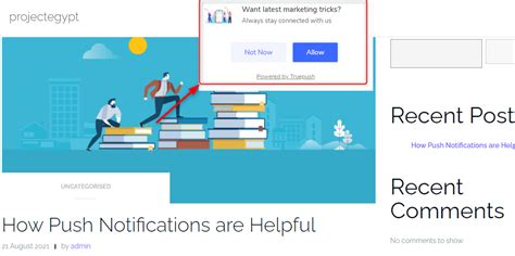 Opt In Push Notification An Essential Guide For Your Brand