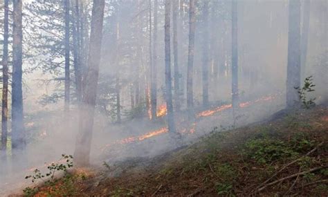 Опасност от горски пожари Троян експрес