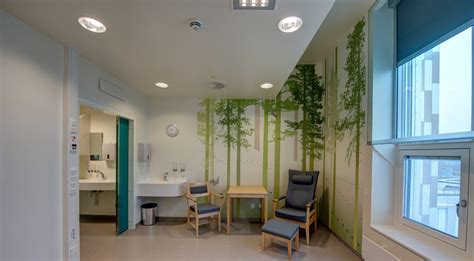 Psychiatric Wards