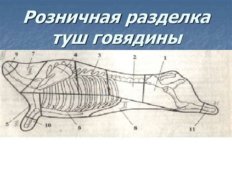 Мясные копчености. Характеристика ассортимента - online presentation