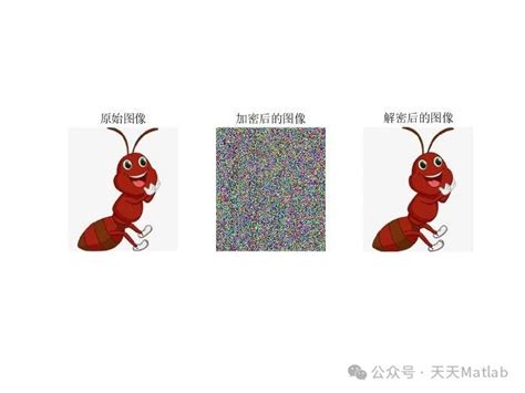 【图像加密】基于混沌置换和矩阵变换实现图像安全传输附matlab代码 Csdn博客