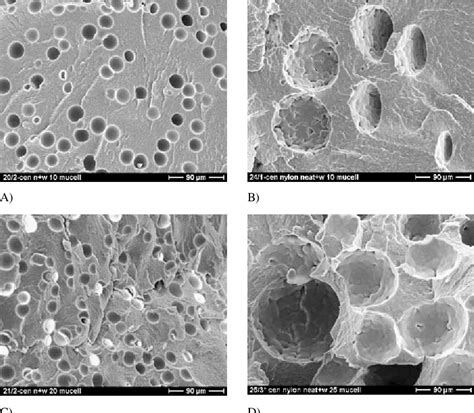 Figure 1 From Microcellular Injection Molding Semantic Scholar