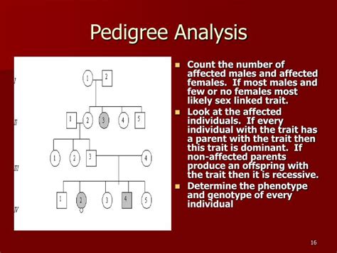 PPT Chapter 11 Complex Inheritance And Human Heredity PowerPoint