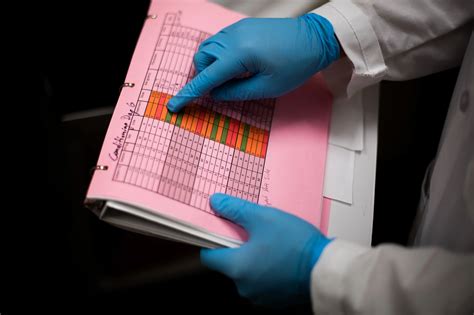 Bioinformatics And Genomics Undergraduate Certificate Grand Valley State University