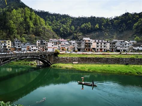 茶香中国 鸠坑毛尖一盏在握云水泱泱山高水长 淳安县 茶园 浙江省
