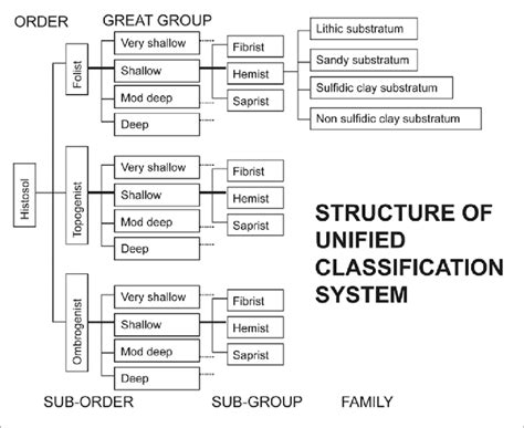 The Structure Of The Unified Classification System Paramananthan 2011 Download Scientific