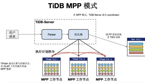 专栏 携程 X Tidb丨应对全球业务海量数据增长，一栈式 Htap 实现架构革新 Tidb 社区