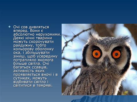 Пристосування тварин до життя в різих умовах презентация онлайн