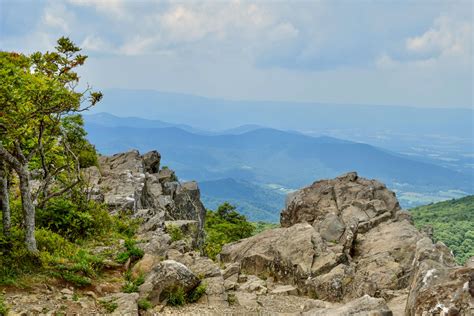 12 Exciting Things To Do In Shenandoah Valley CRAZY NEWSX