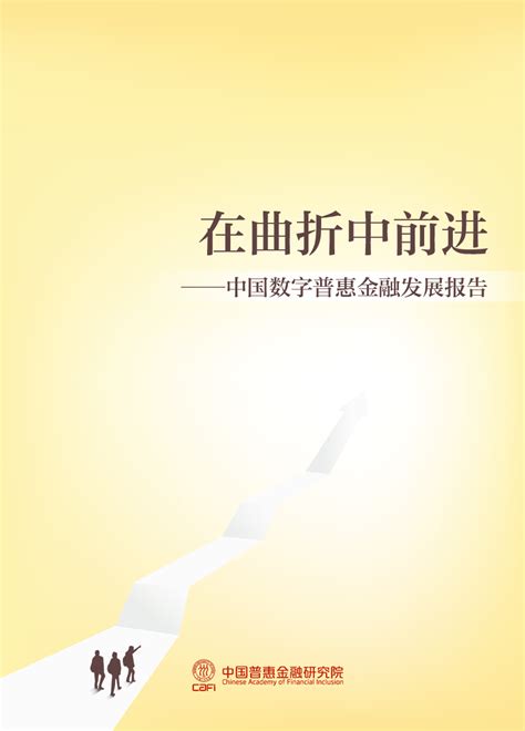 在曲折中前进——中国数字普惠金融发展报告