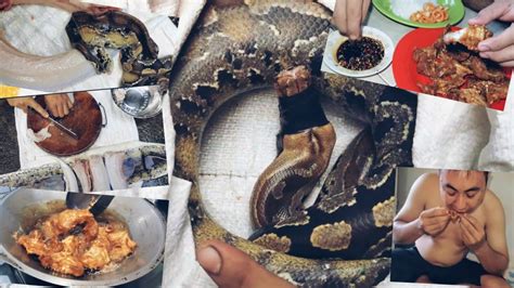 Cook And Fry A Snake Python Mixed With Sweet Soy Sauce Extremefood