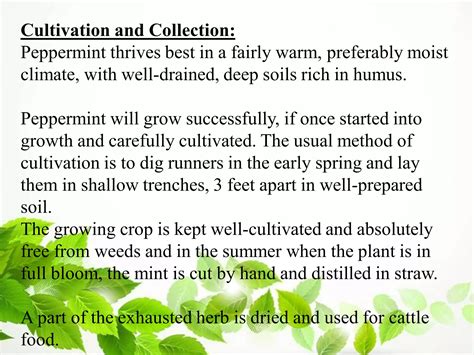 4volatile Oils Pdf Gardening Home And Garden