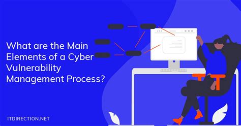 What Are The Main Elements Of A Cyber Vulnerability Management Process