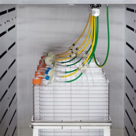 Maxcell Mlf Large Capacity Co2 Incubator For Multi Layer Flasks 1