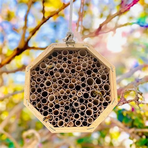 Wooden Bee House For Garden Natural Pollinator Habitat With Honeycomb