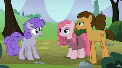 Cheese Sandwich Mlp