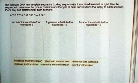 Genetics Dna Non Template Sequence Mutation Analysis The Following Dna Non Template Sequence