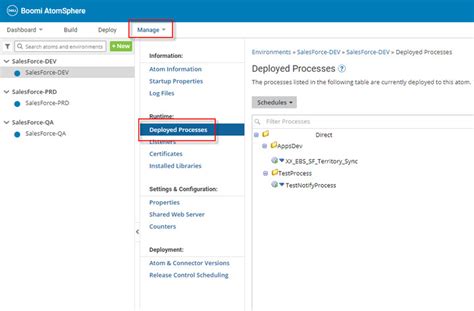 Question How To Know The Count Of Deployed Processes In An Environment