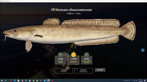 ФАРМ НА МОРЕ НА НОВЫЕ ПРИМАНКИ В РУССКОЙ РЫБАЛКЕ 4 СТРИМ РОЗЫГРЫШИ РР4