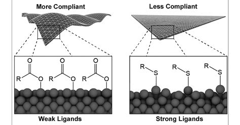 Surface Ligands Dictate The Mechanical Properties Of Inorganic Nanomaterials ACS Nano