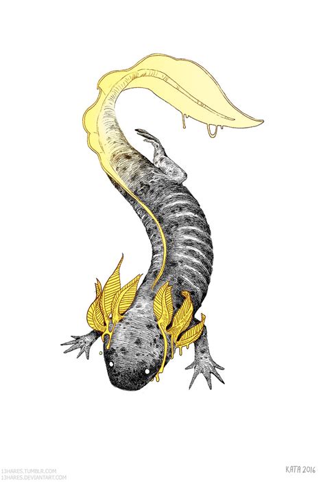 The Sixth Extinction