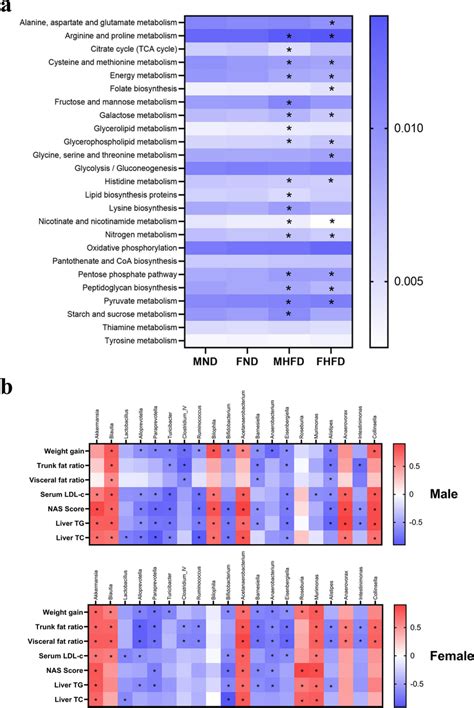 Heatmaps Of Kegg Pathways And Correlation Between Key Genera And