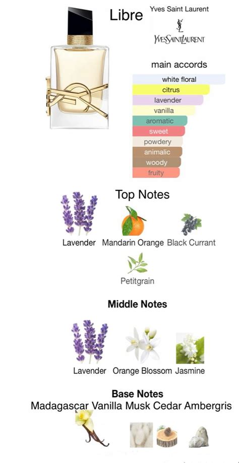 Libre Yves Saint Laurent Perfume Collection Diagram