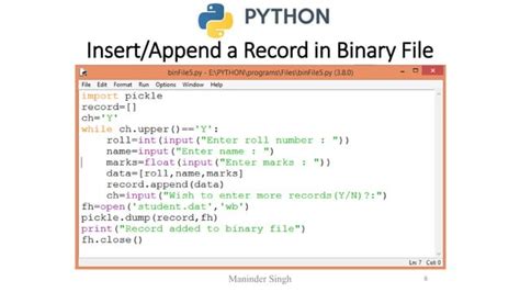 5 1 binary file handling pdf programming languages computing