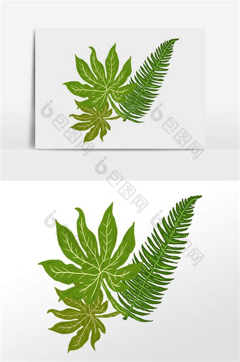 夏季热带植物绿植叶插画png下载 包图网