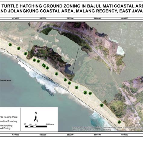 Map Of Sea Turtle Nesting Zonation In Bajul Mati And Jolangkung Coastal Download Scientific