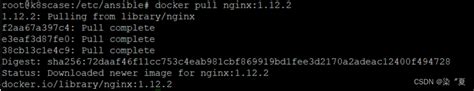 Linux系统下安装kubernetes（超详细。。。）linux安装kubernetes Csdn博客