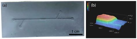Sci An Open Access Journal From MDPI