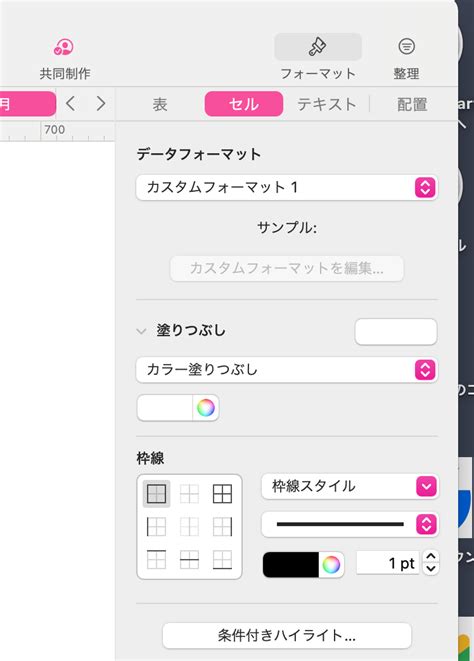 カスタムフォーマットの編集ができない Apple コミュニティ