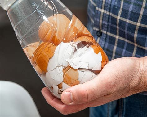 Easy Homemade Orchid Fertilizer Recipes To Bring More Blooms